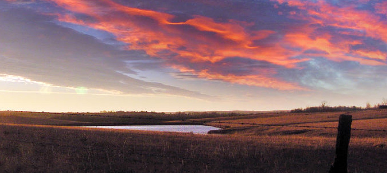 Sunflower RFPs - Sunflower Foundation