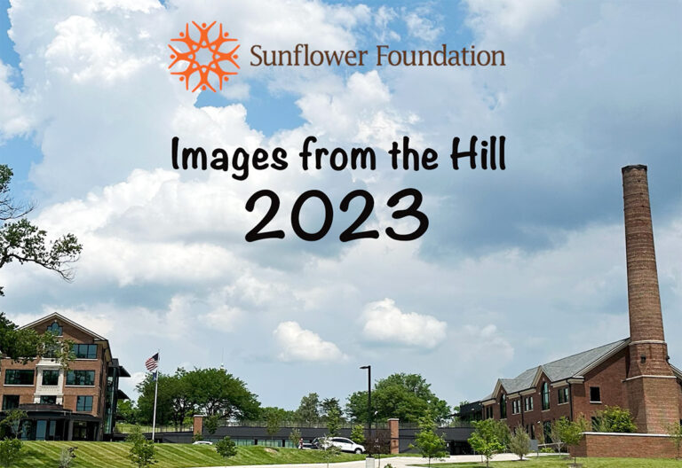 Home - Sunflower Foundation